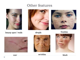 Physical description | PPT