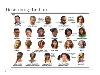 Physical description | PPT