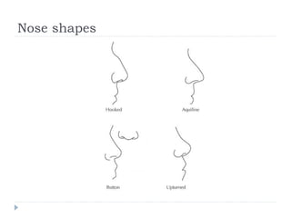 Physical description | PPT