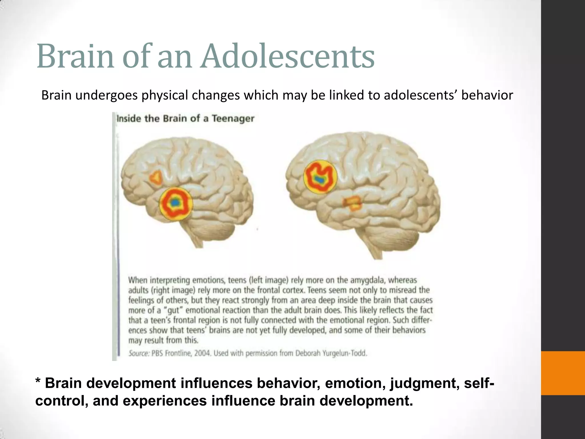 Physical development adolescence | PPTX