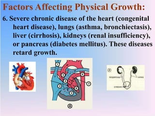 Physical development.ppt