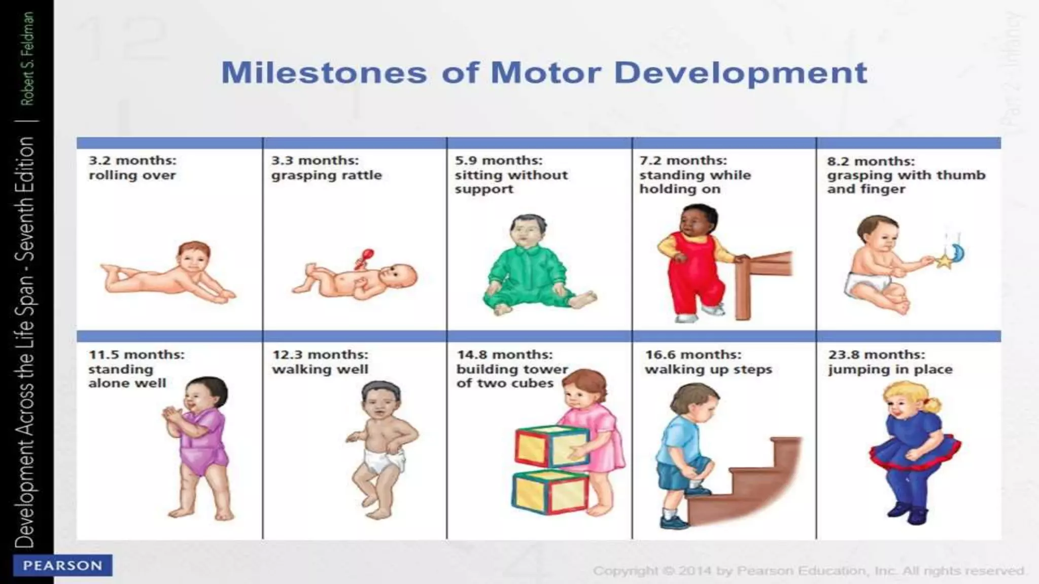 Physical development of a child | PPTX