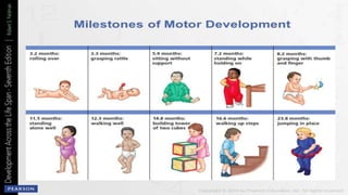 Physical development of a child | PPTX