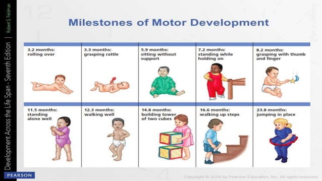 Physical development of a child | PPTX