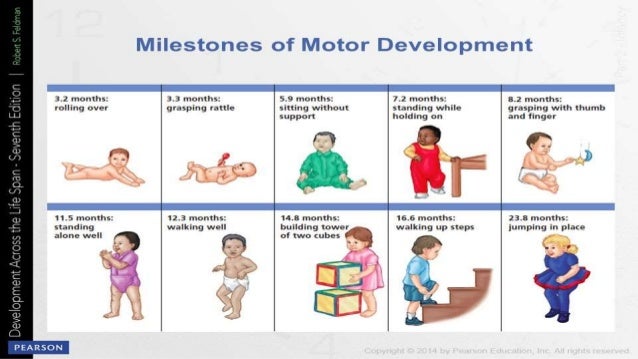 Physical development of a child