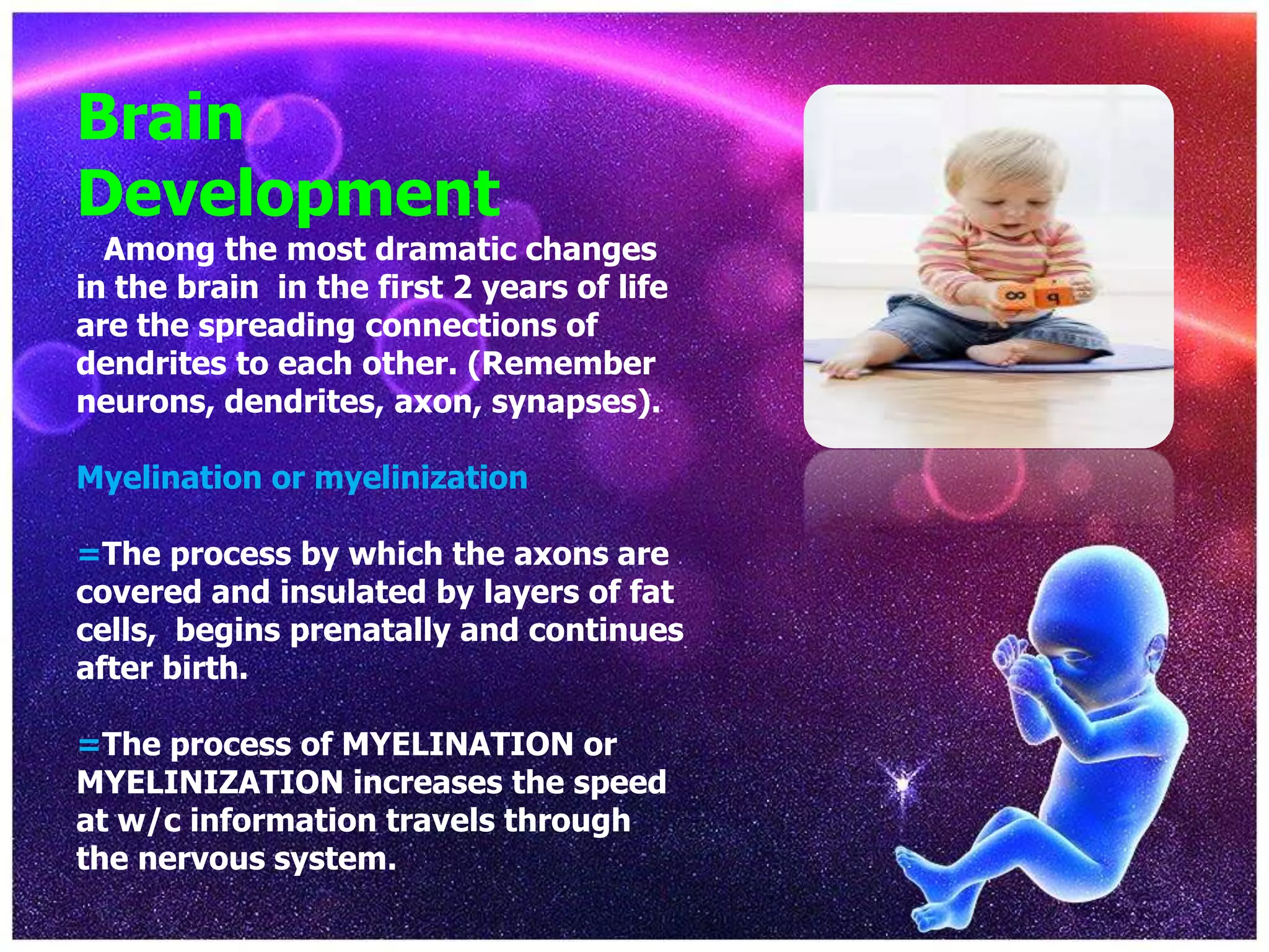 Physical development of infants and toddlerhood | PPTX