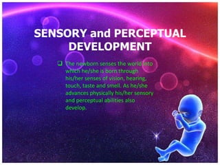 Physical development of infants and toddlerhood | PPTX