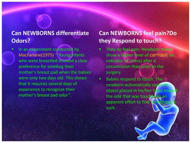 Physical development of infants and toddlerhood | PPTX