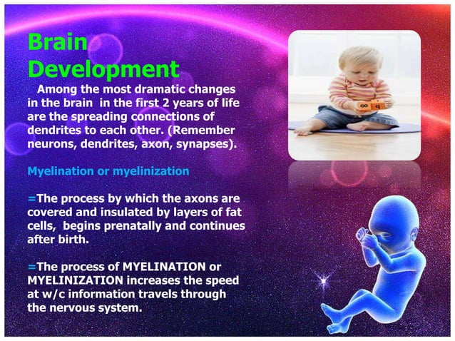 Physical development of infants and toddlerhood | PPTX
