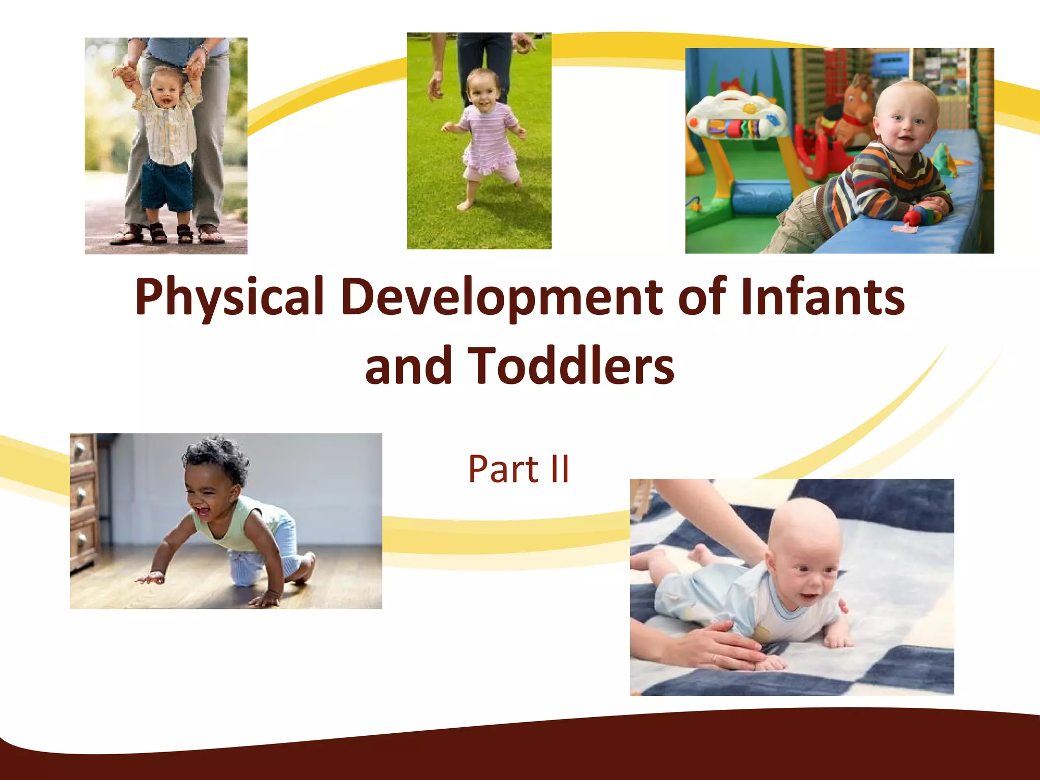 Physical development of Infants and Toddlers part 2 | PPT