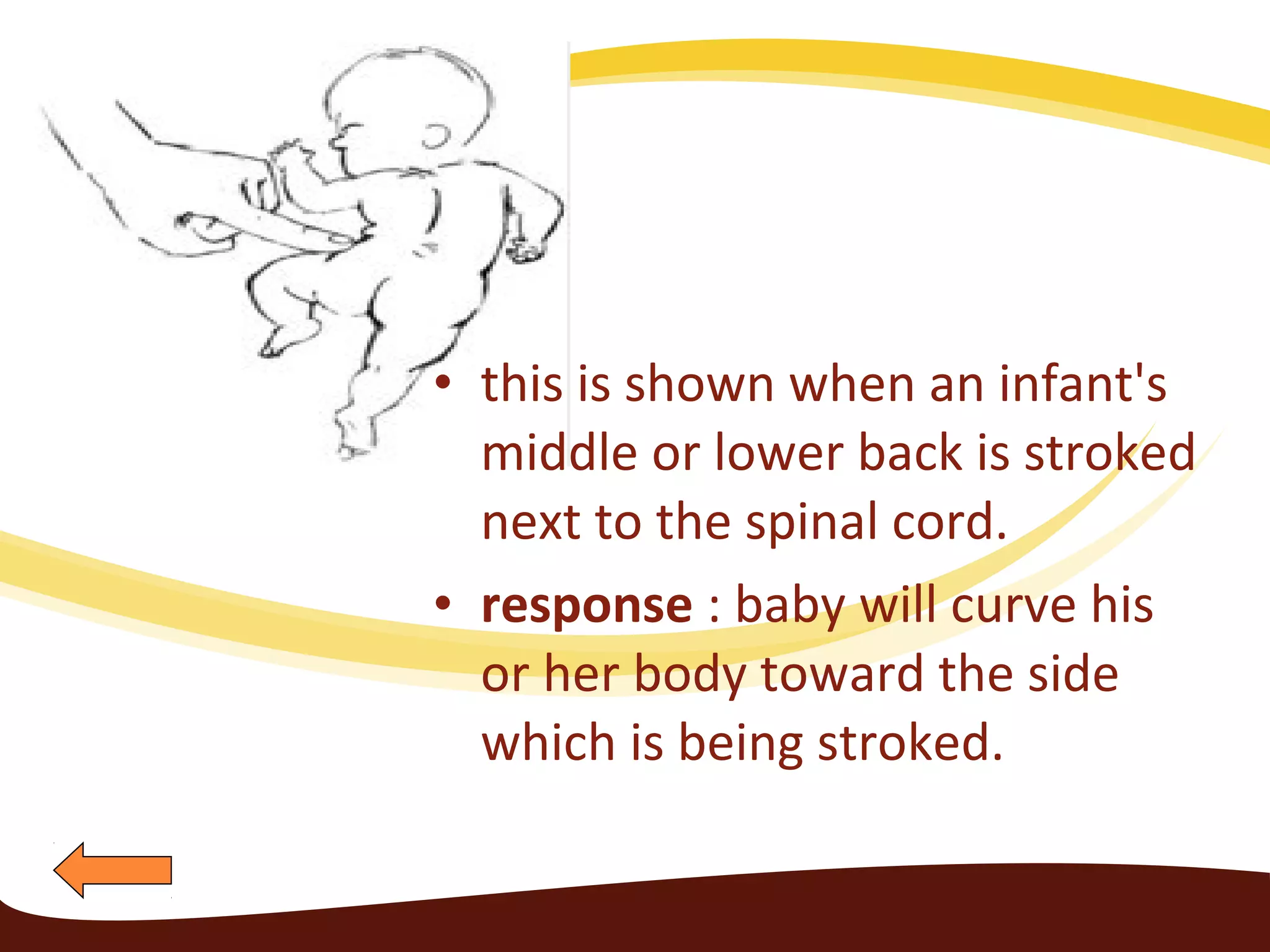 Physical development of Infants and Toddlers part 2 | PPT