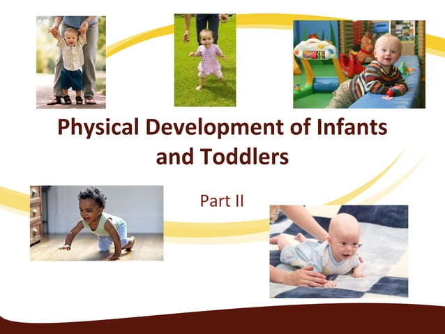 Physical development of Infants and Toddlers part 2 | PPT