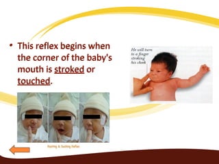 Physical development of Infants and Toddlers part 2 | PPT