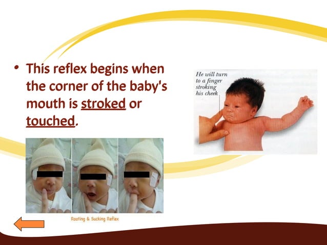 Physical development of Infants and Toddlers part 2 | PPT