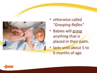 Physical development of Infants and Toddlers part 2 | PPT