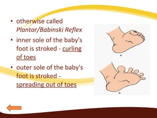 Physical development of Infants and Toddlers part 2 | PPT