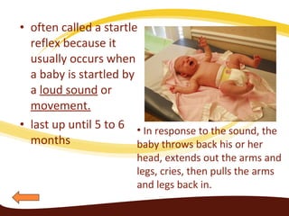 Physical development of Infants and Toddlers part 2 | PPT