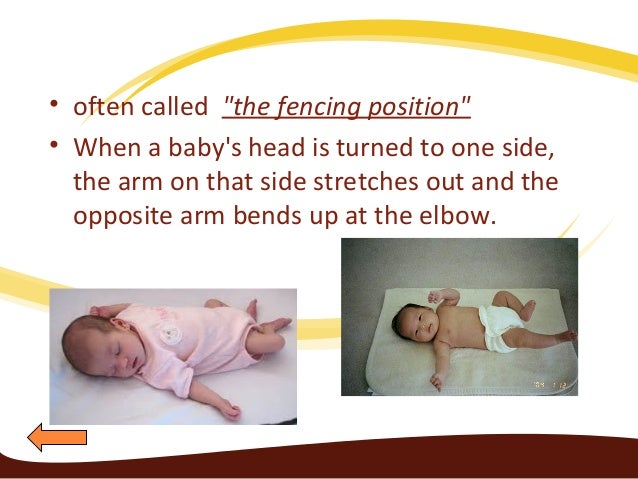 Physical development of Infants and Toddlers part 2