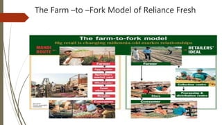 Physical distribution process study.pptx