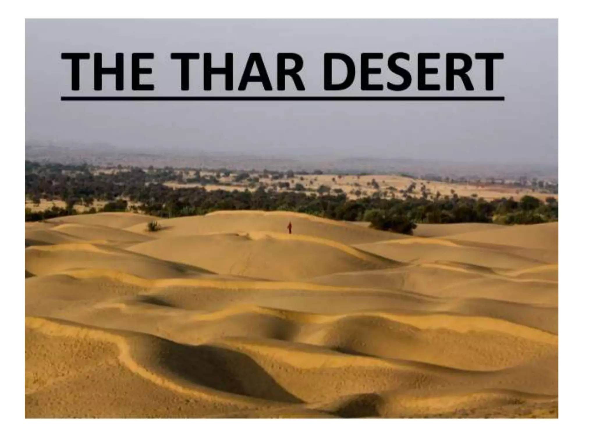 Physical divisions of india | PPTX