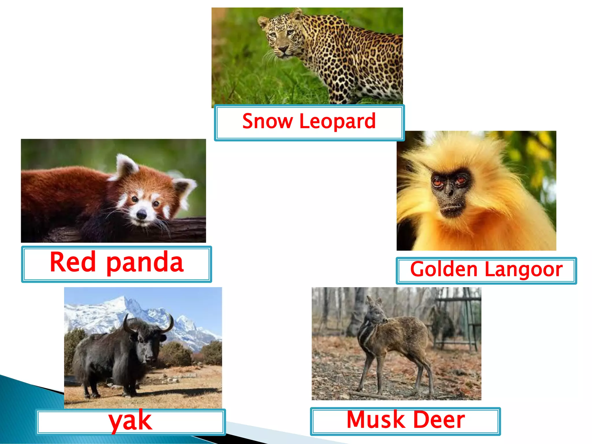 Physical divisions of india class 5 converted | PDF