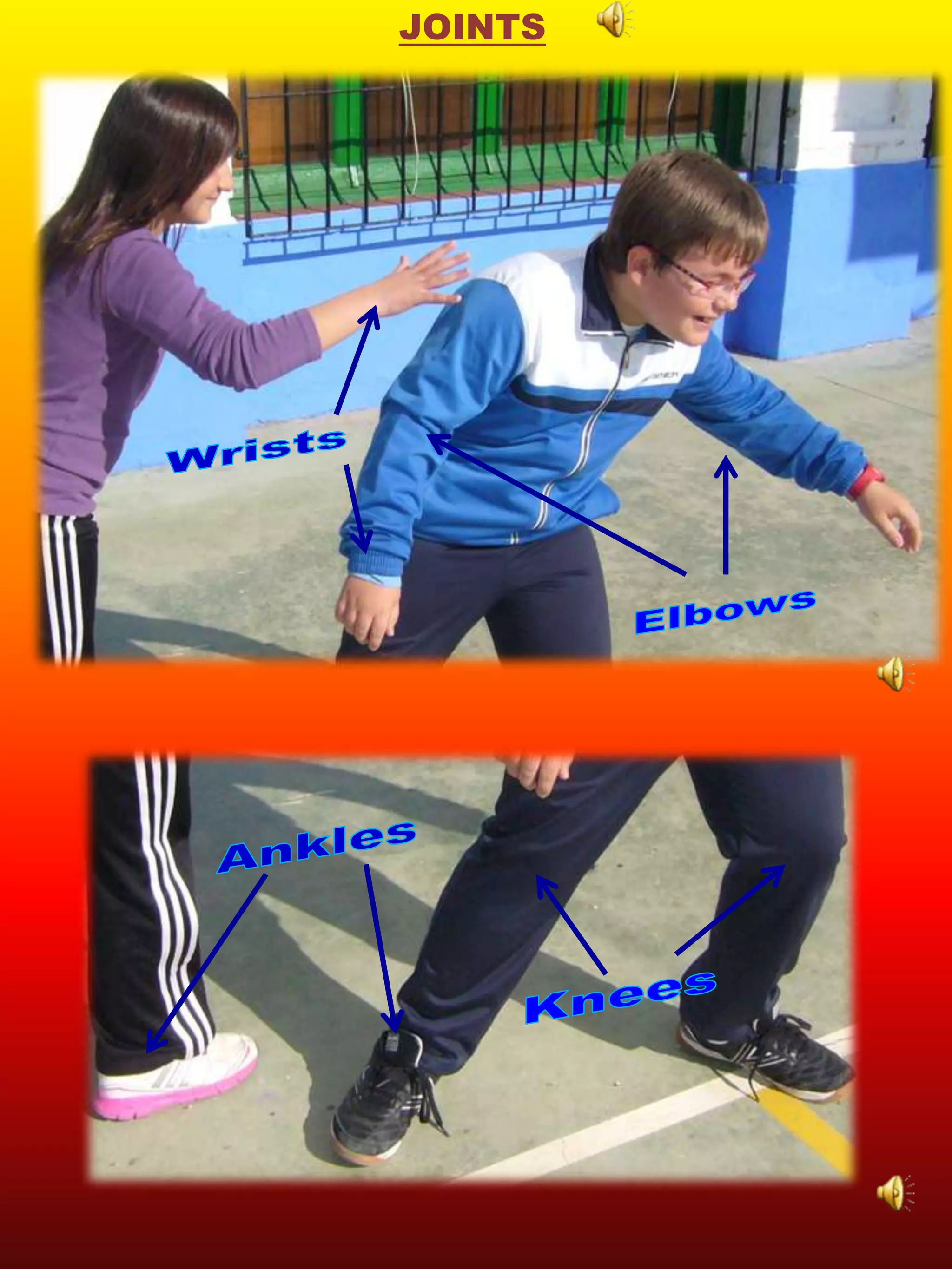 Basic Physical Education Vocabulary | PPTX | Education