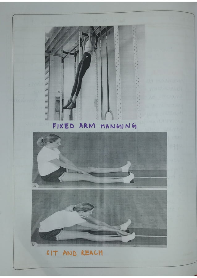 PHYSICAL EDUCATION PRACTICAL FILE ( Class 12th) | PDF