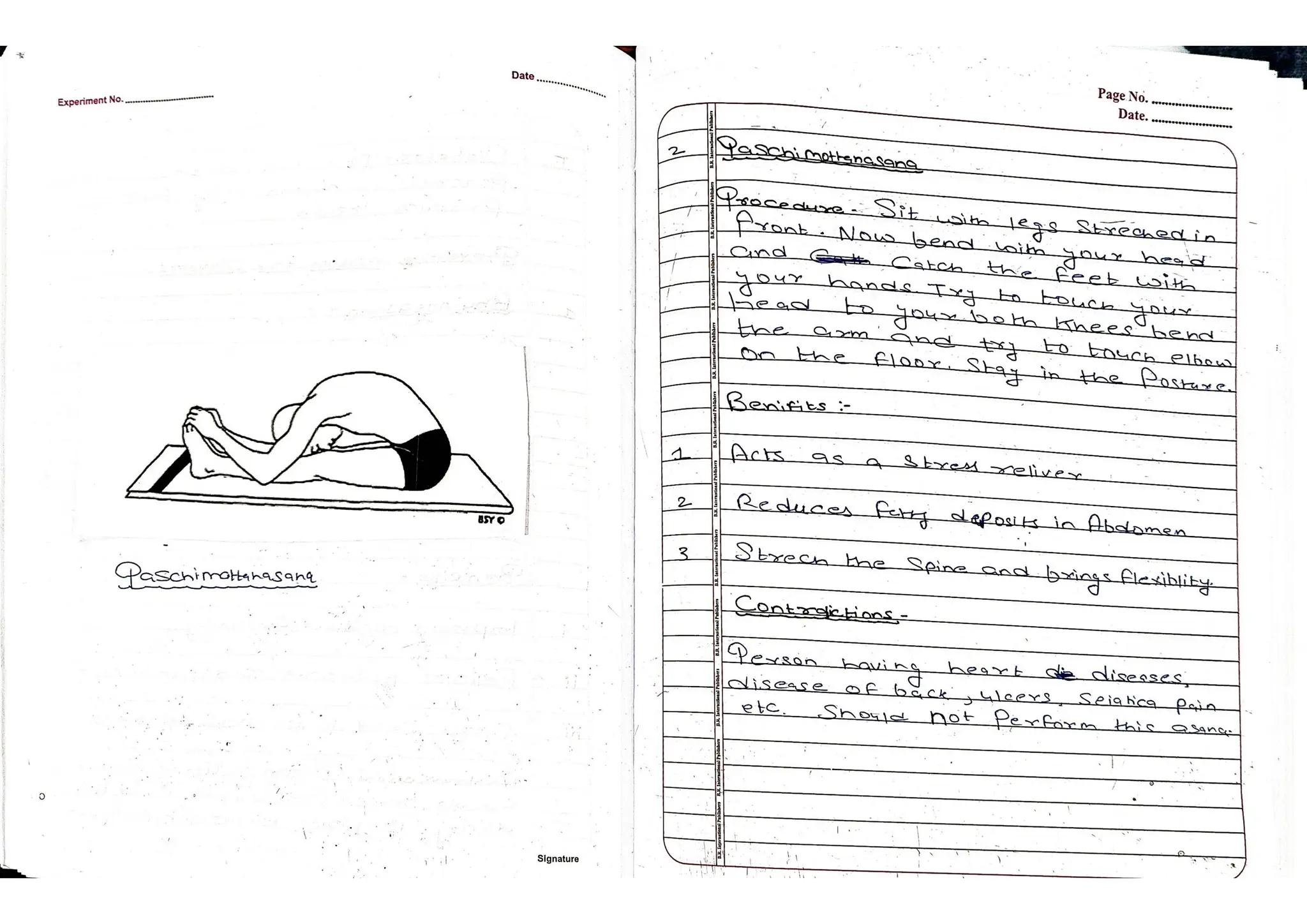 PHYSICAL EDUCATION PRACTICAL MANUAL CLASS 12 PDF DOWNLOAD 2025 Technical Specifications & Analysis