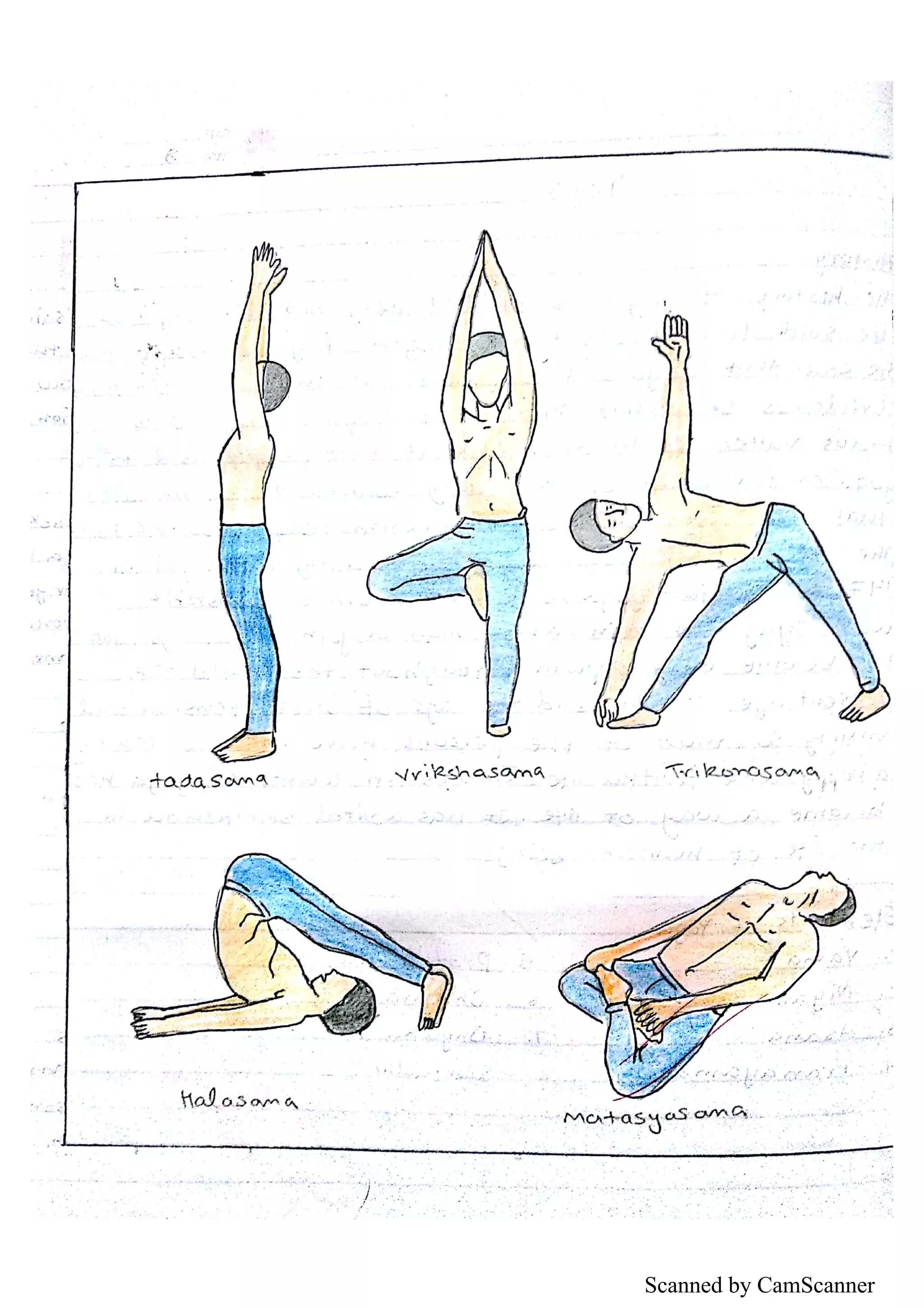 Physical education practical file - Saksham | PDF