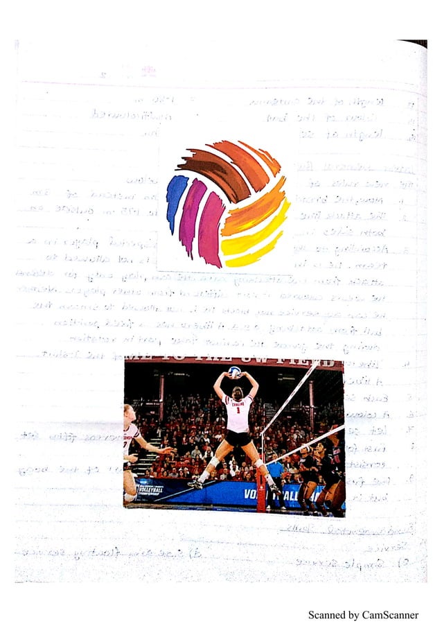 Physical education practical file - Saksham | PDF