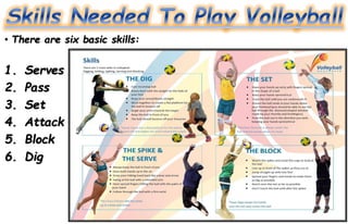 Physical education's ppt | PPTX | Volleyball | Sports