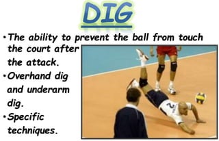 Physical education's ppt | PPT