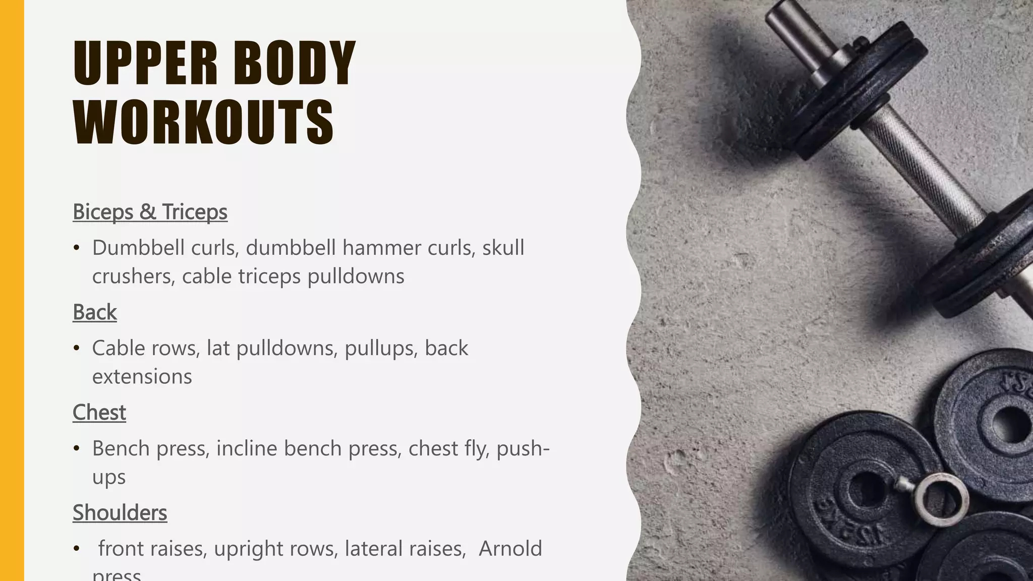 Physical Education Weight Room .pptx