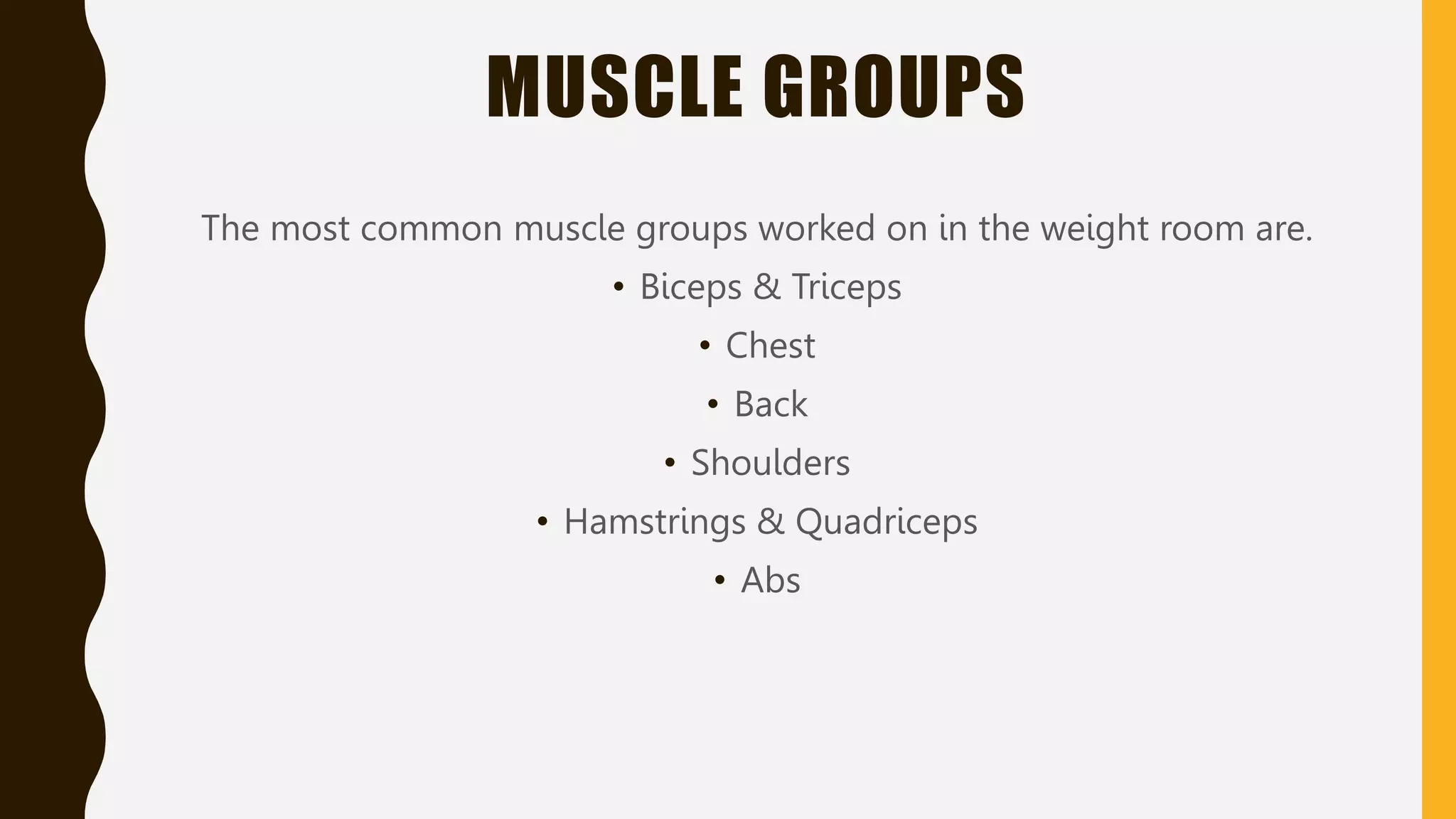 Physical Education Weight Room .pptx