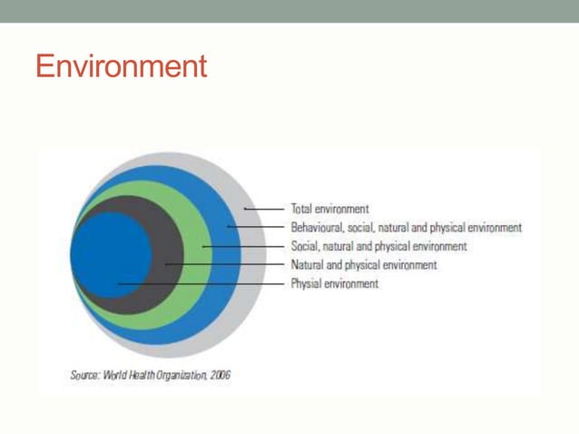 Physical environment & Health | PPTX | Indoor Environmental Quality ...