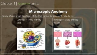 Physical ergonomics | PDF