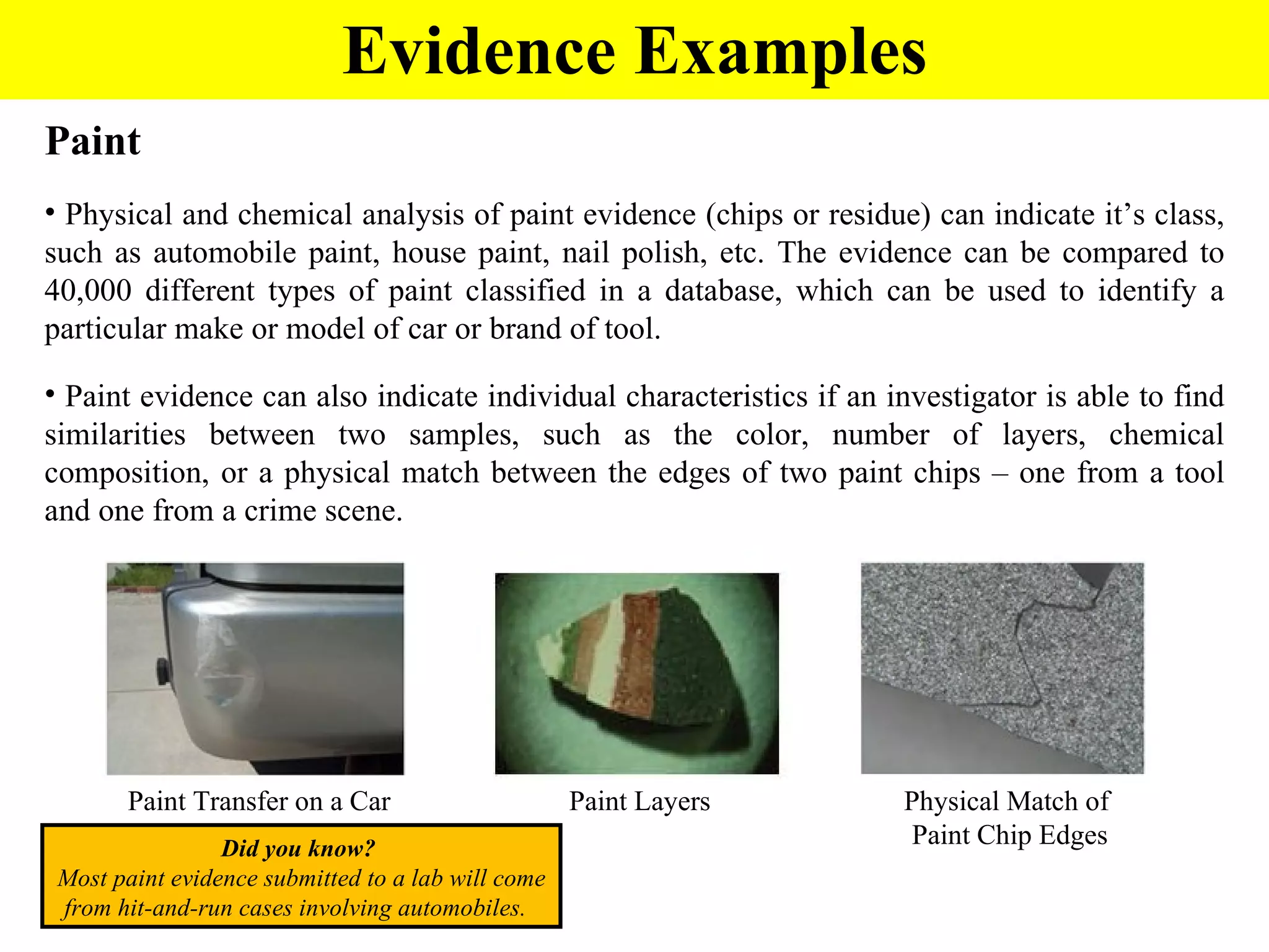 Physical Evidence | PPT