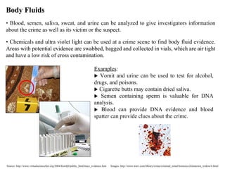 Physical Evidence | PPT