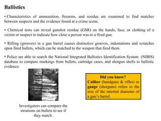 Physical Evidence | PPT