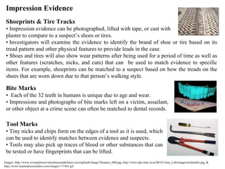 Physical Evidence | PPT