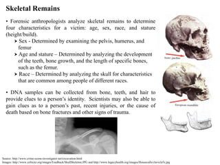 physicalevidence09 (2).ppt