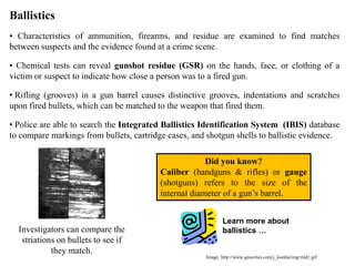 physicalevidence09 (2).ppt