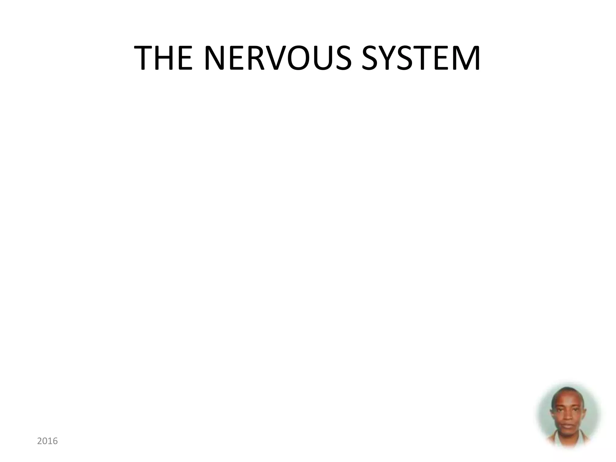 Physical examination: nervous system and cardiovascular system | PPTX