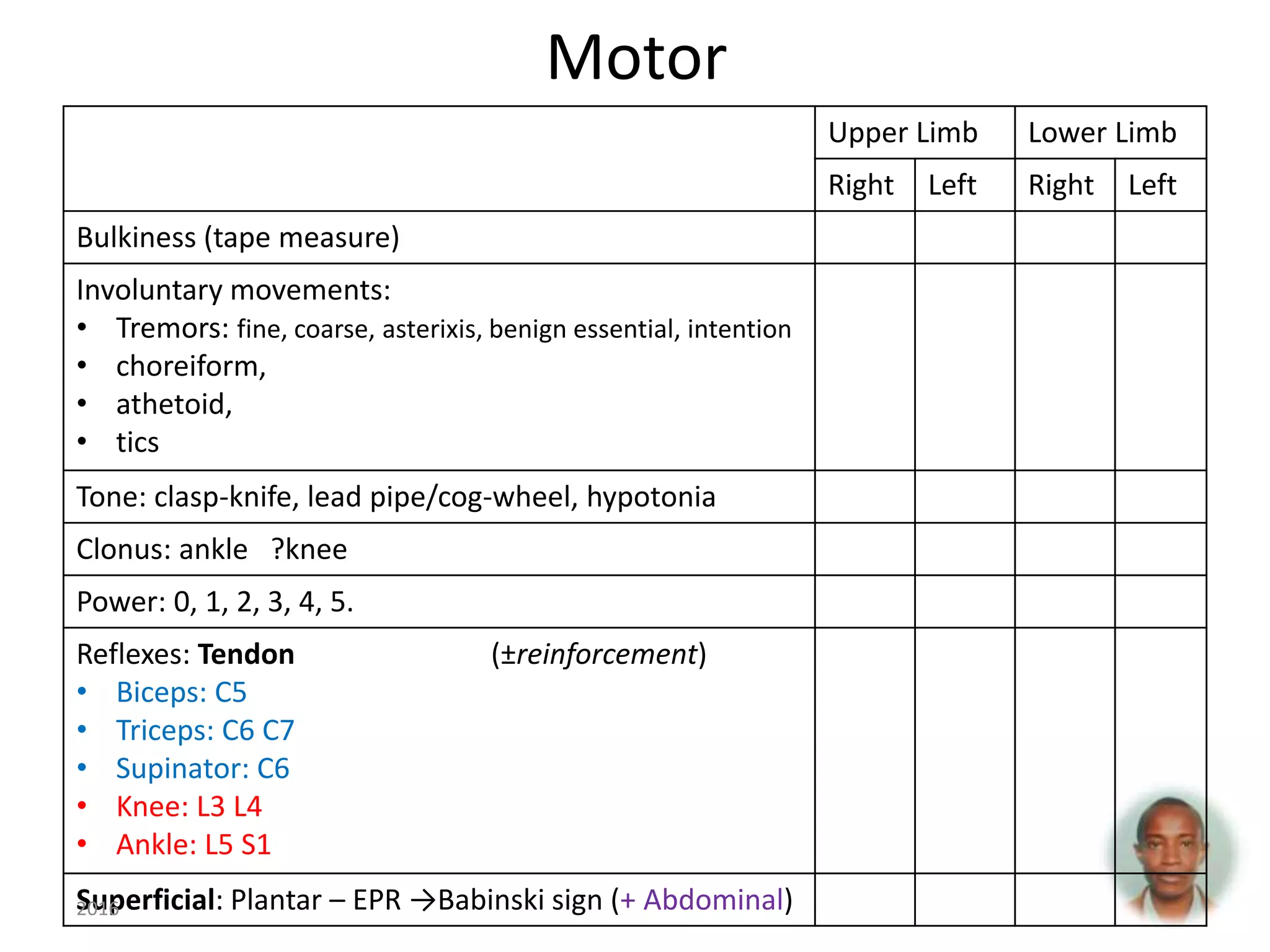 Physical examination: nervous system and cardiovascular system | PPTX