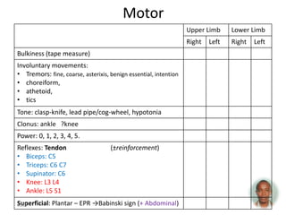 Physical examination: nervous system and cardiovascular system | PPTX