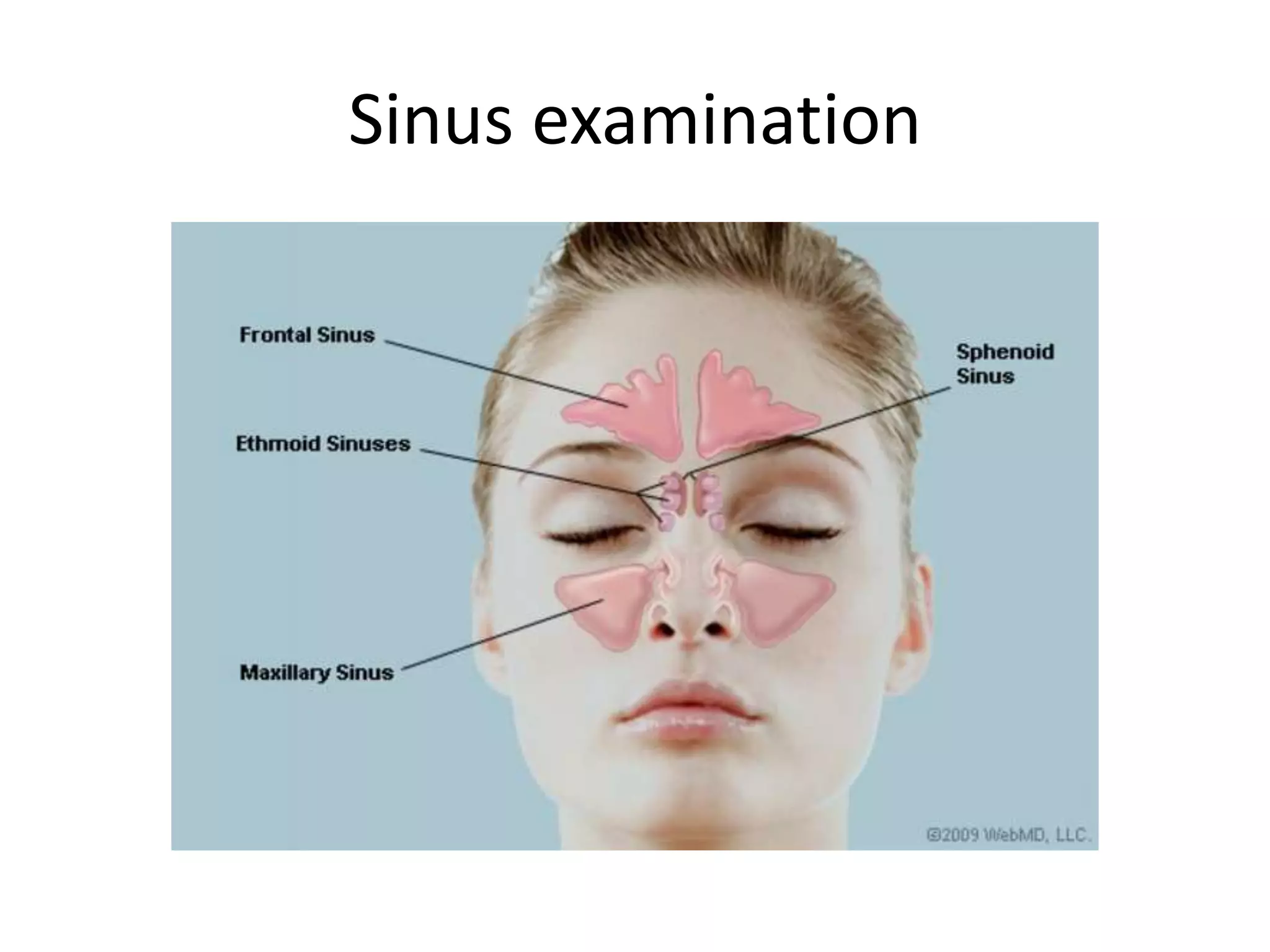 Physical examination, Fundamentals of Nursing | PPTX