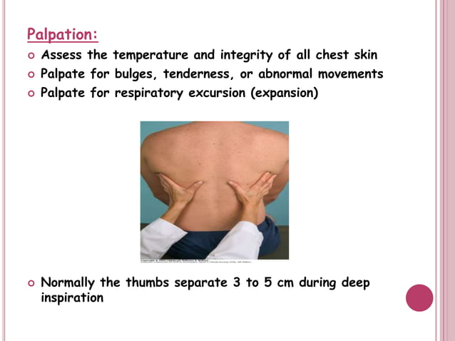 Physical examination for the examin .ppt
