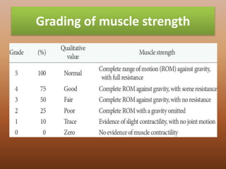 Physical examination abdomen, musculoskeletal and neurological system ...