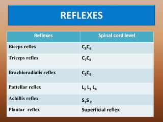 Physical examination abdomen, musculoskeletal and neurological system ...