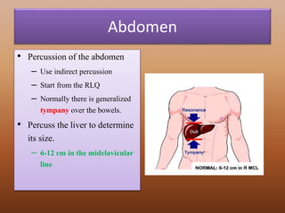 Physical examination abdomen, musculoskeletal and neurological system ...